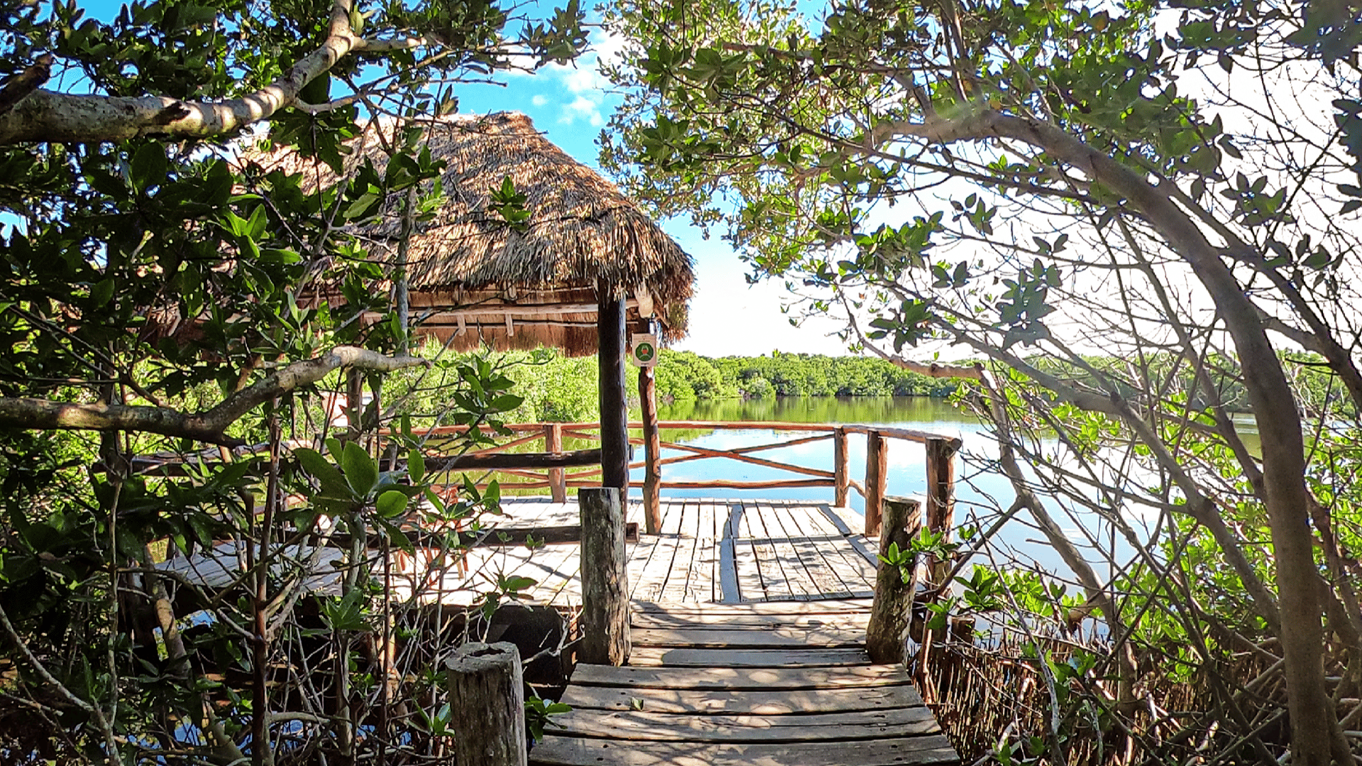 Discovering Isla Contoy: Your Guide to the National Park and Whale ...