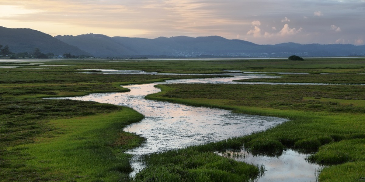 Los 8 humedales que le dan vida a Quintana Roo