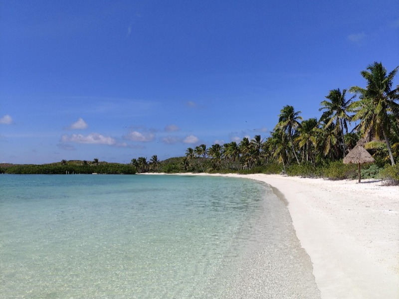 20 Isla Contoy tour photos you will totally love