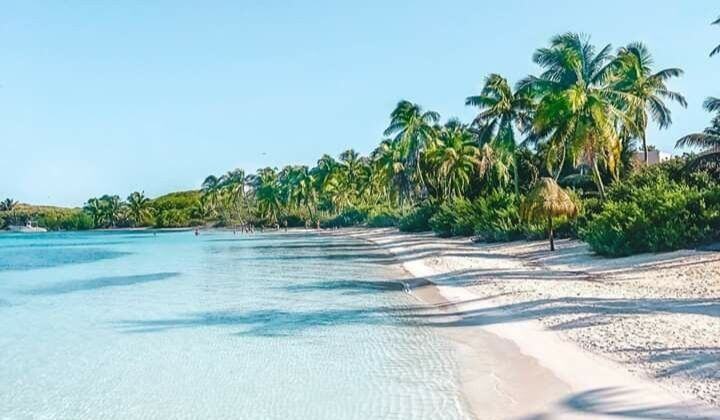 Isla Contoy VS Isla Holbox, which one should you visit? - Quick guide